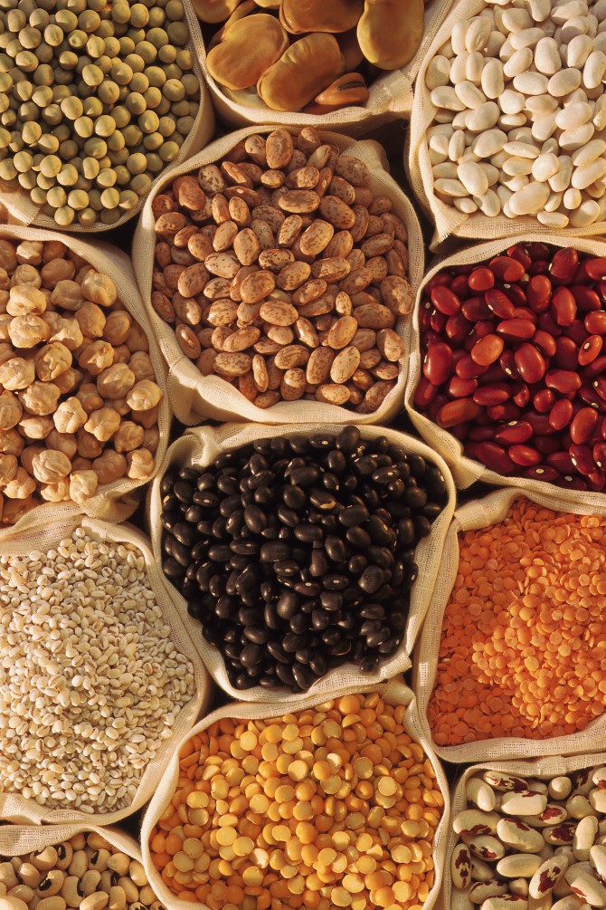 Fresh Seed Library News: Find seeds by searching for the planting month ...