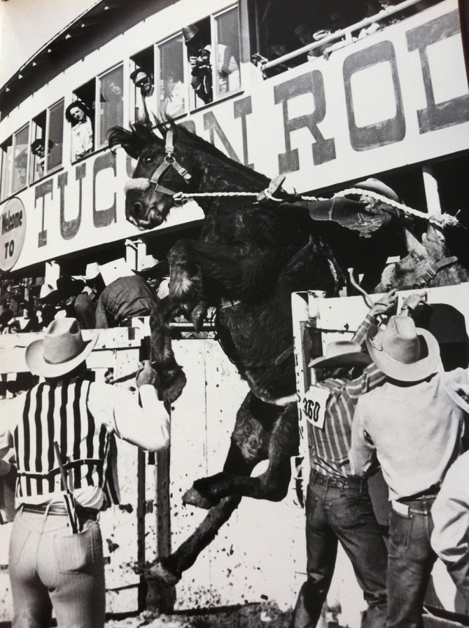 Let ‘er Buck | Pima County Public Library