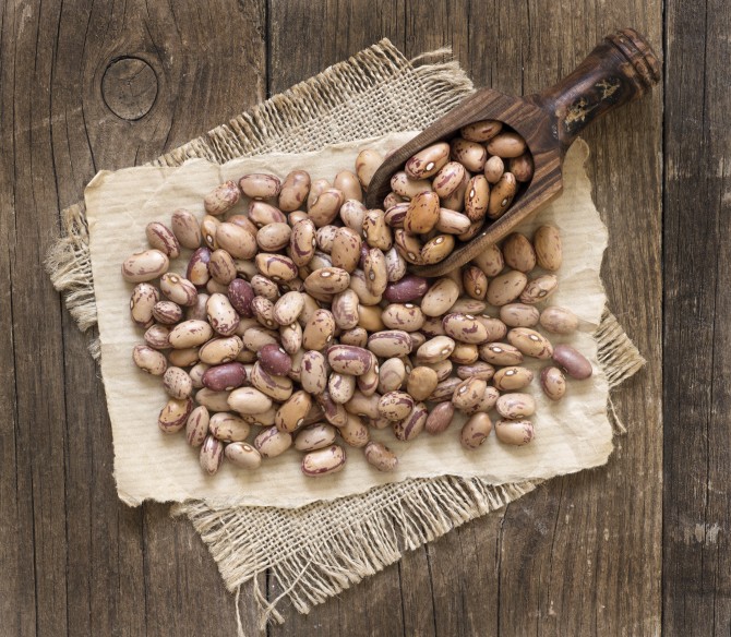 Now Sowing: Beans, common (March 15–May 15, July–August) | Pima County ...