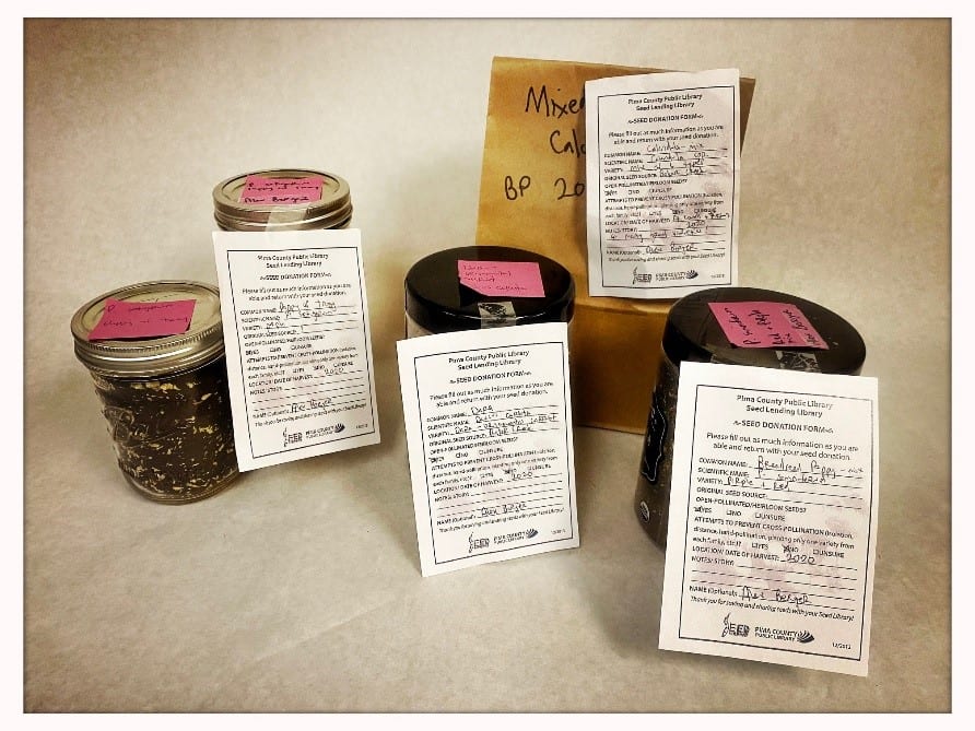 Want to share seeds with the Seed Library? Here’s how! | Pima County ...