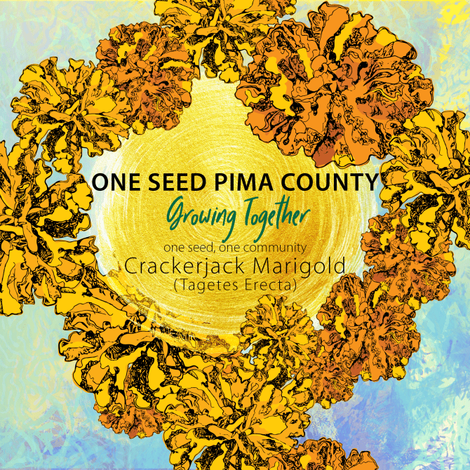 Growing together – One Seed Pima County | Pima County Public Library